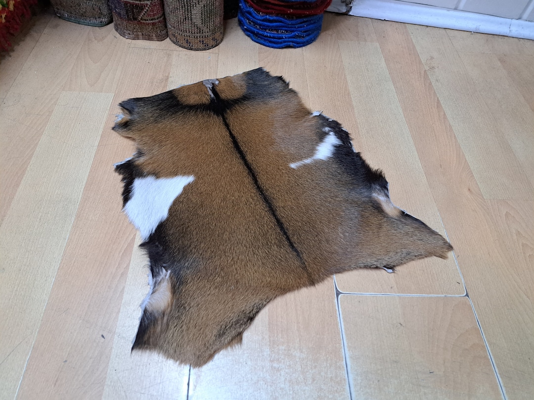 Turkish Goat Skin, Bedroom Rug, Home Decor Gift, Small Turkish Pelt ...