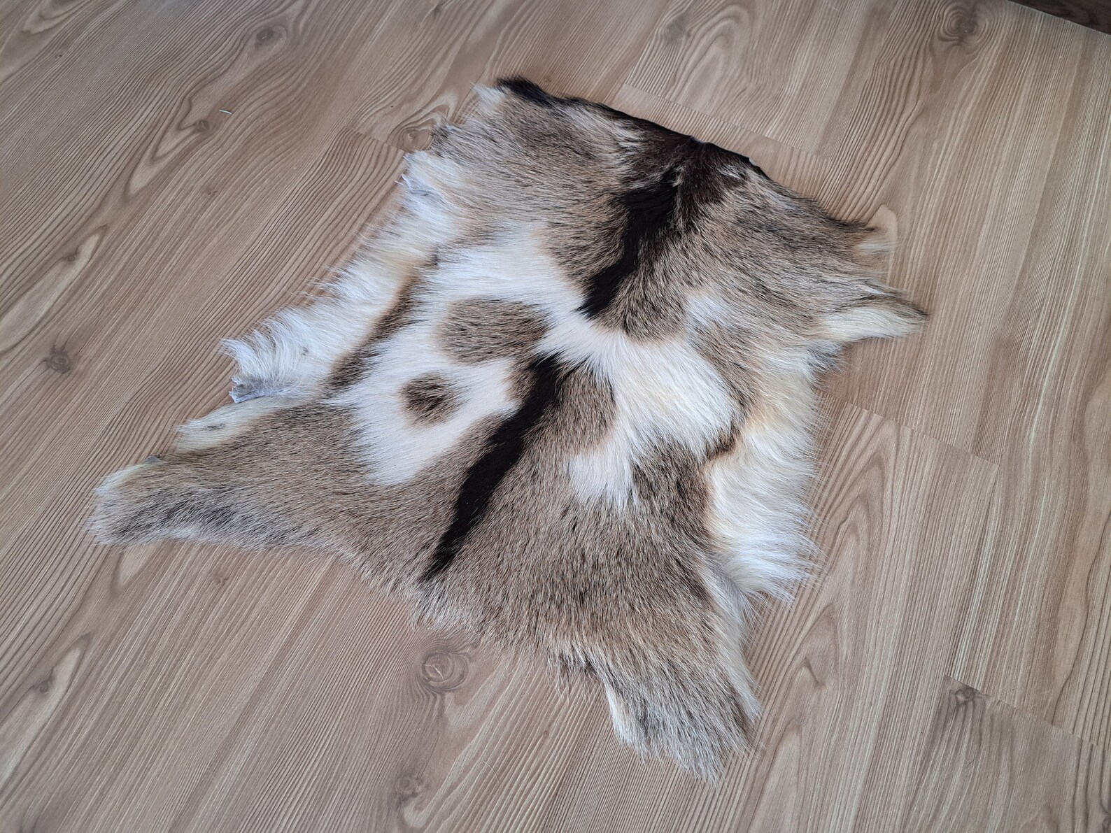 Turkish Goat Hide, Small Sheep Leather, Mottled Leather, Small Goat ...