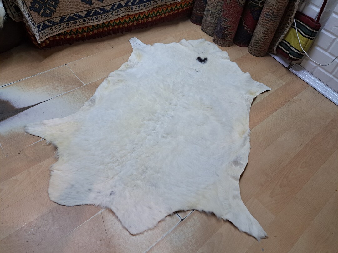 Vintage Turkish Sheepskin Pelt: Curly Lamb Skin Rug, Wall Decor (2.5x4 ...