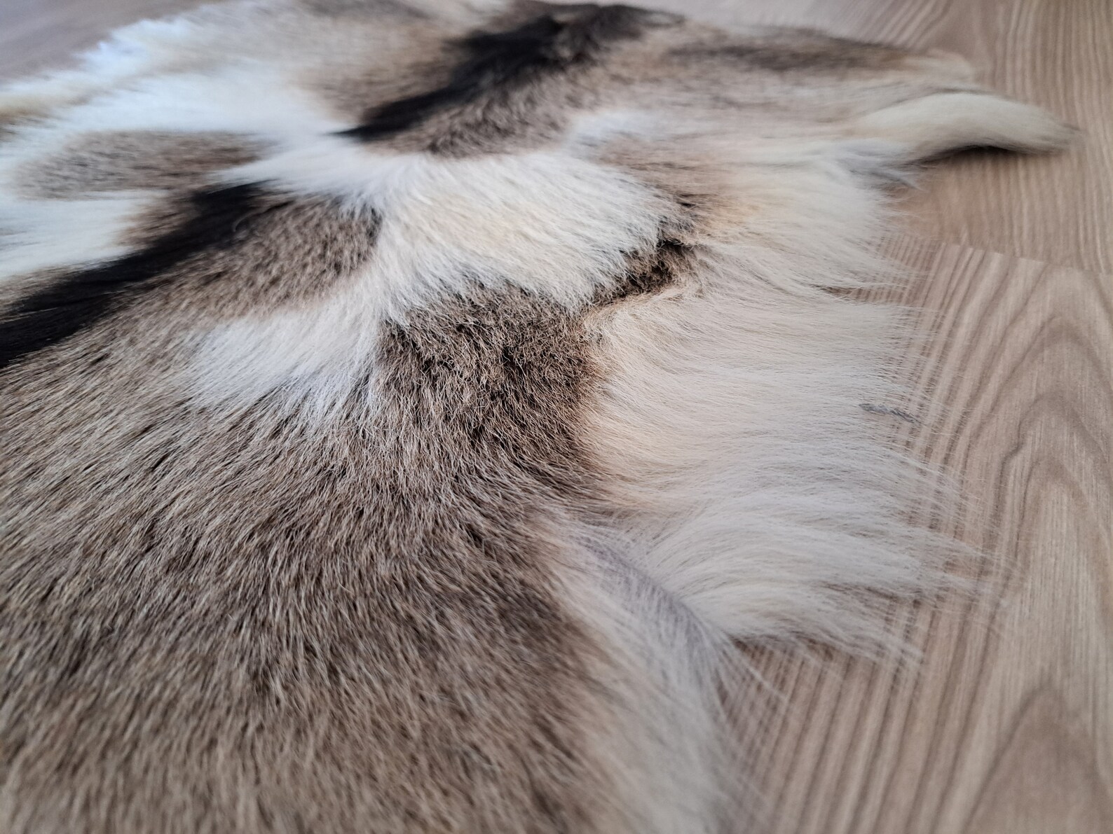 Turkish Goat Hide, Small Sheep Leather, Mottled Leather, Small Goat ...