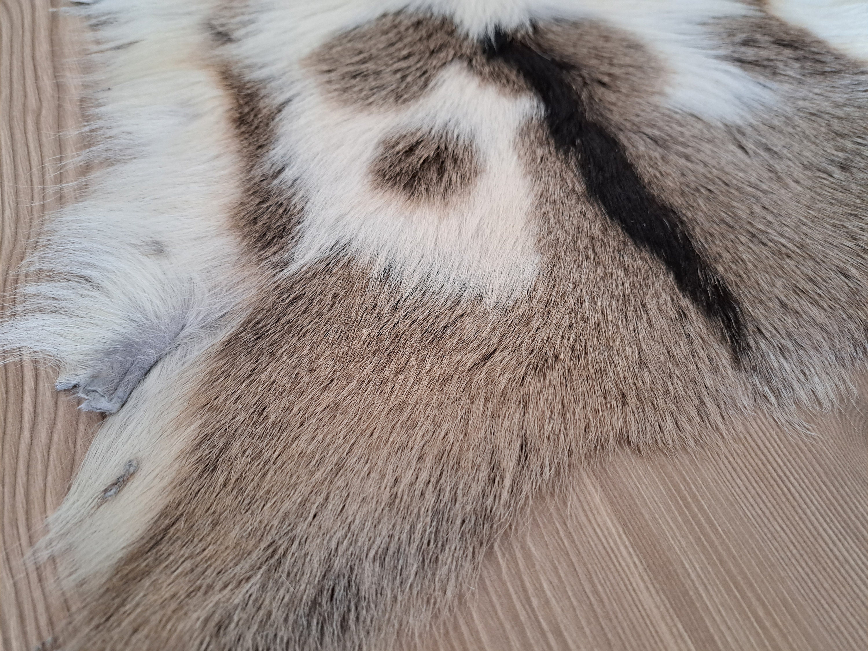 Turkish Goat Hide, Small Sheep Leather, Mottled Leather, Small Goat ...