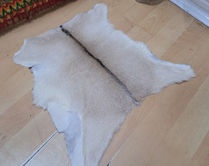 Turkish Goat Skin, Housewarming Gift, Goat Skin Exculisive, Small Goat ...