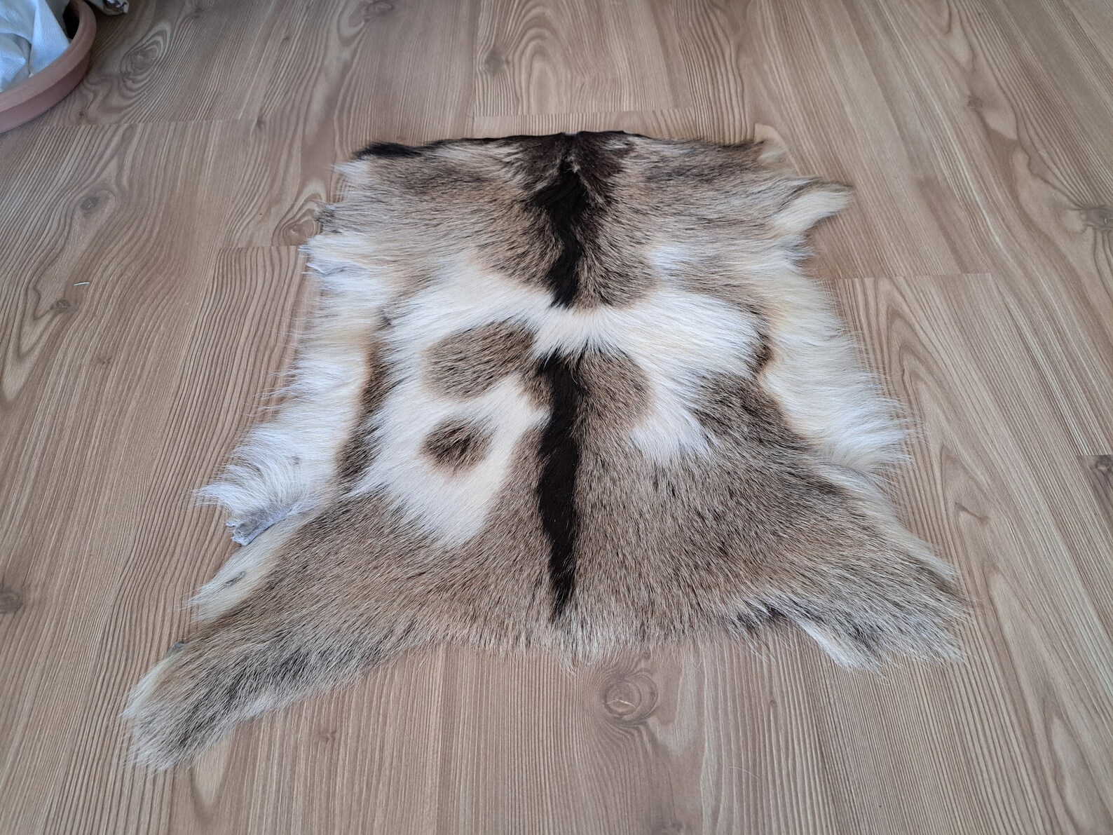 Turkish Goat Hide, Small Sheep Leather, Mottled Leather, Small Goat ...