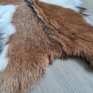 Turkish Goat Hide, Goat Skin Pelt, Small Goat Skin, Mottled Leather ...