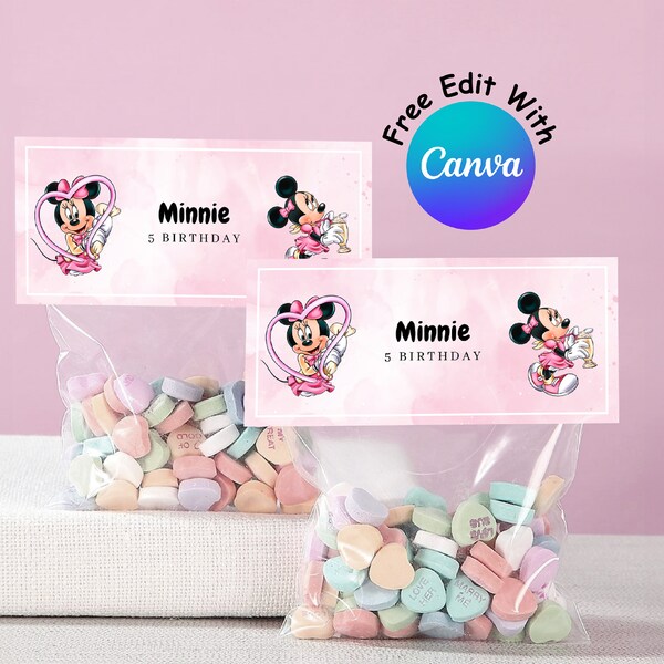 Minnie Mouse Gift Bags - 60+ Gift Ideas for 2024