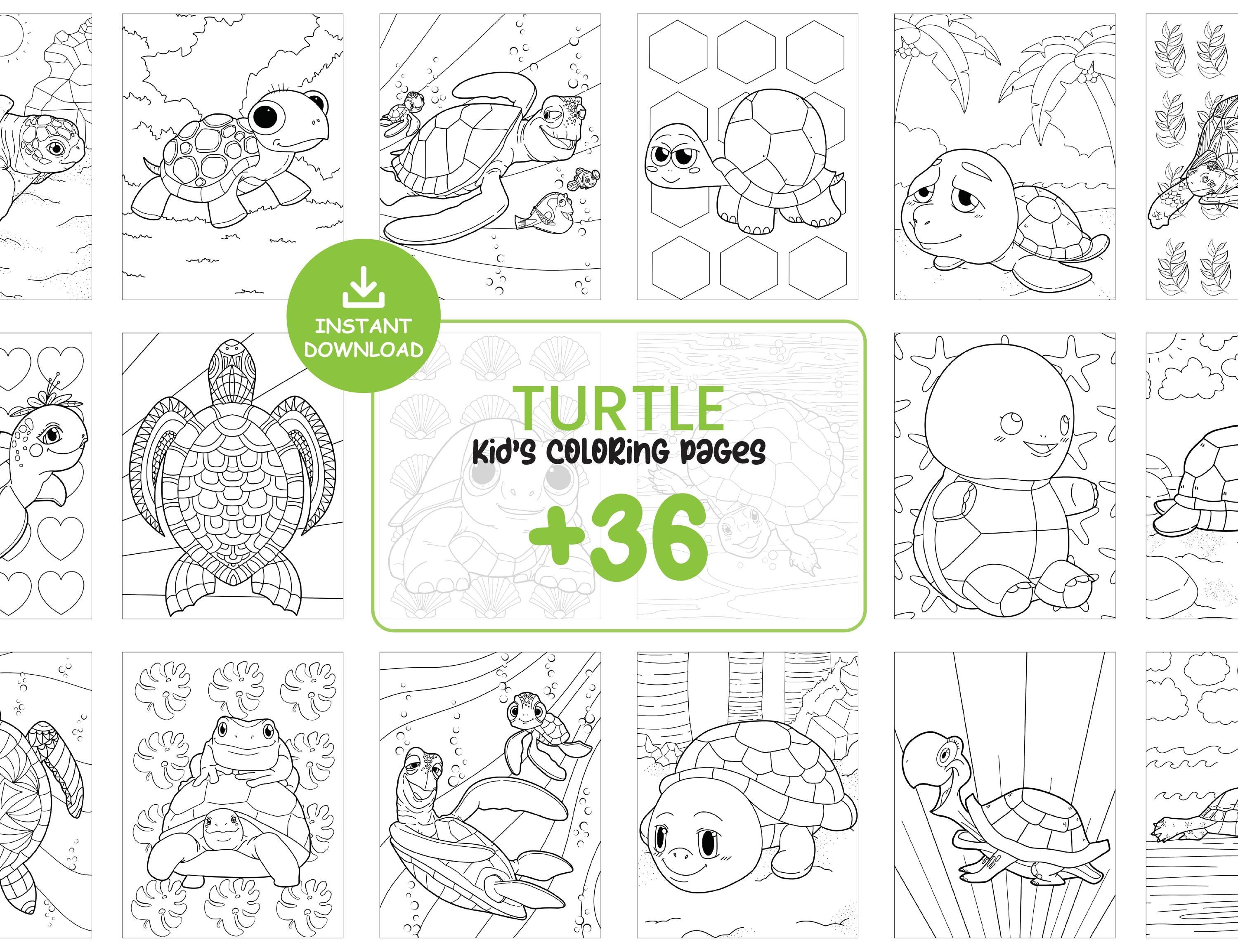 36 TURTLE Printable Coloring Pages for Kids, Toddler Coloring Book ...