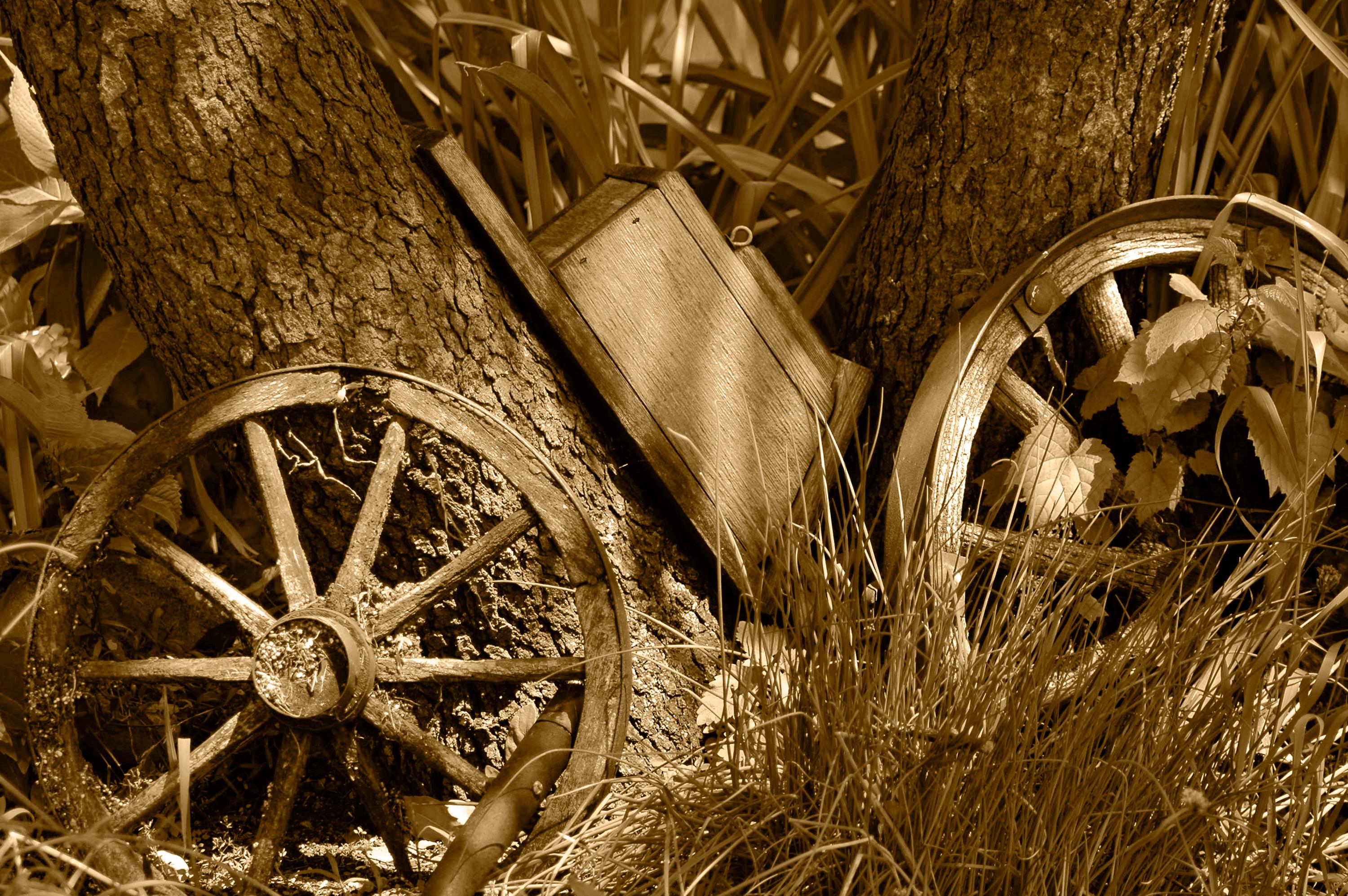 Stagecoach Wheels in Sephia - Etsy