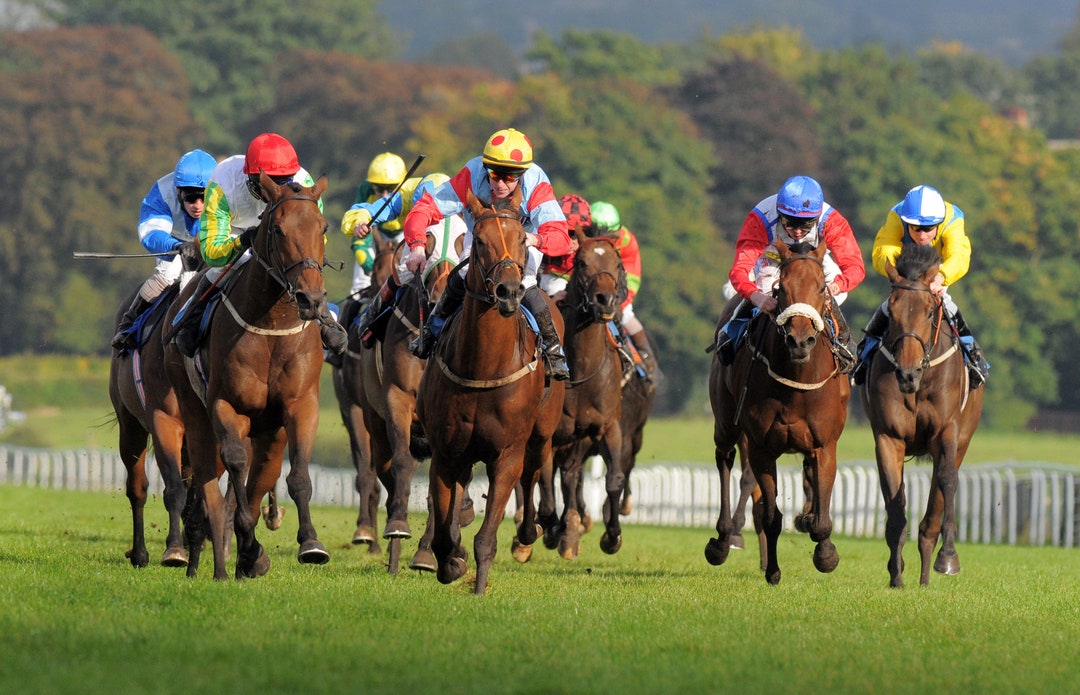 Horse Racing at Beverly Racecourse - Etsy