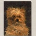 Edouard Manet: Bob the Dog Canvas Wall Art, Edouard Manet Print, Dog ...