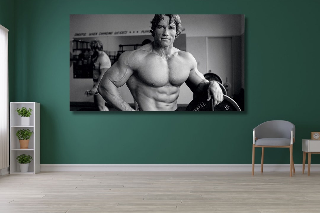 Arnold Schwarzenegger Canvas Wall Art Arnold Schwarzenegger Poster Art ...