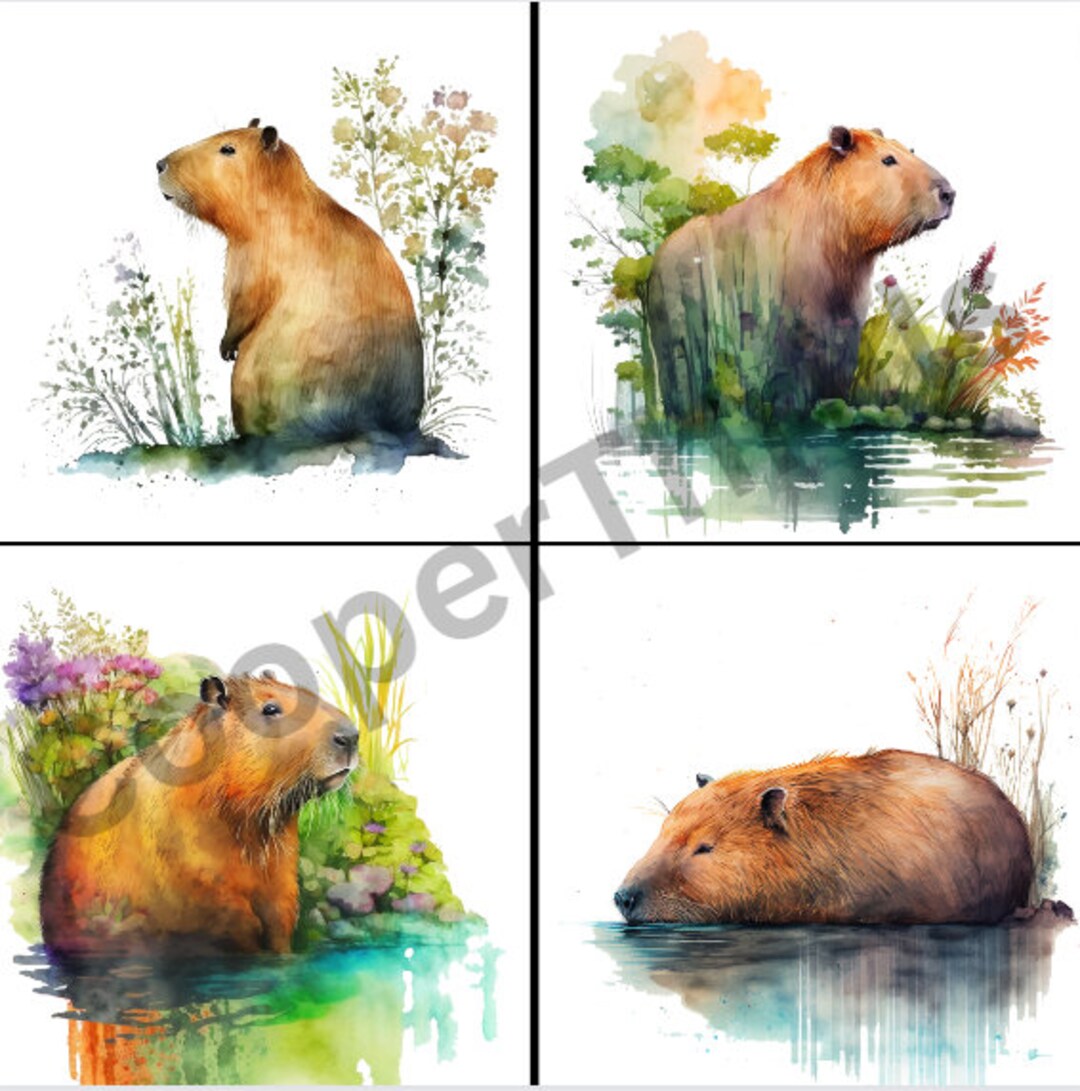 Capybara Clipart, Animal and Nature Clipart, Watercolor Capybara, for ...