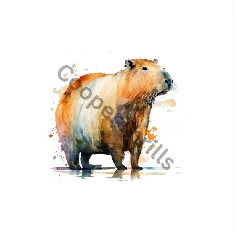 Capybara Clipart, Animal and Nature Clipart, Watercolor Capybara, for ...