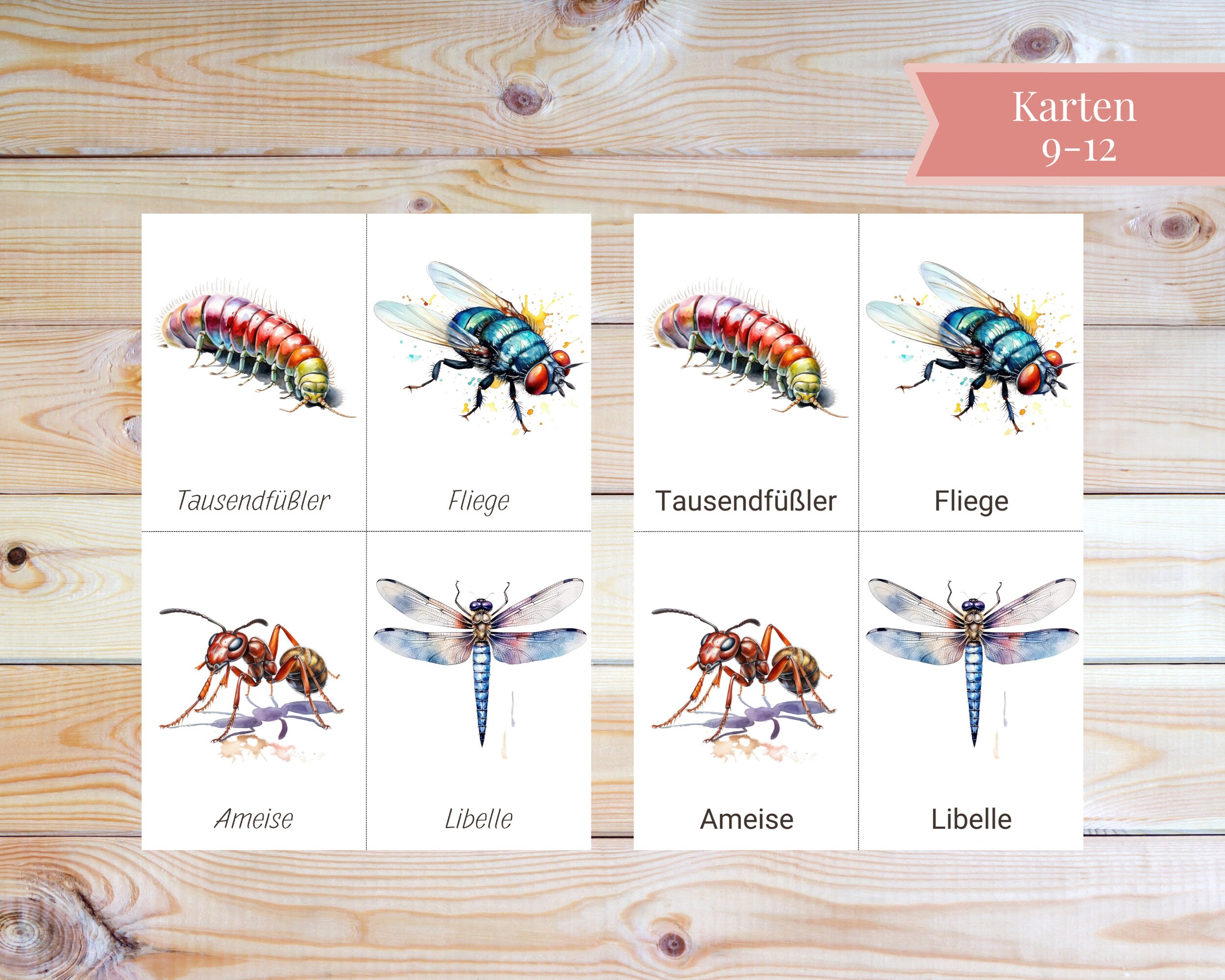 Self-printable Montessori Nomenclature Cards: 12 Insects for - Etsy