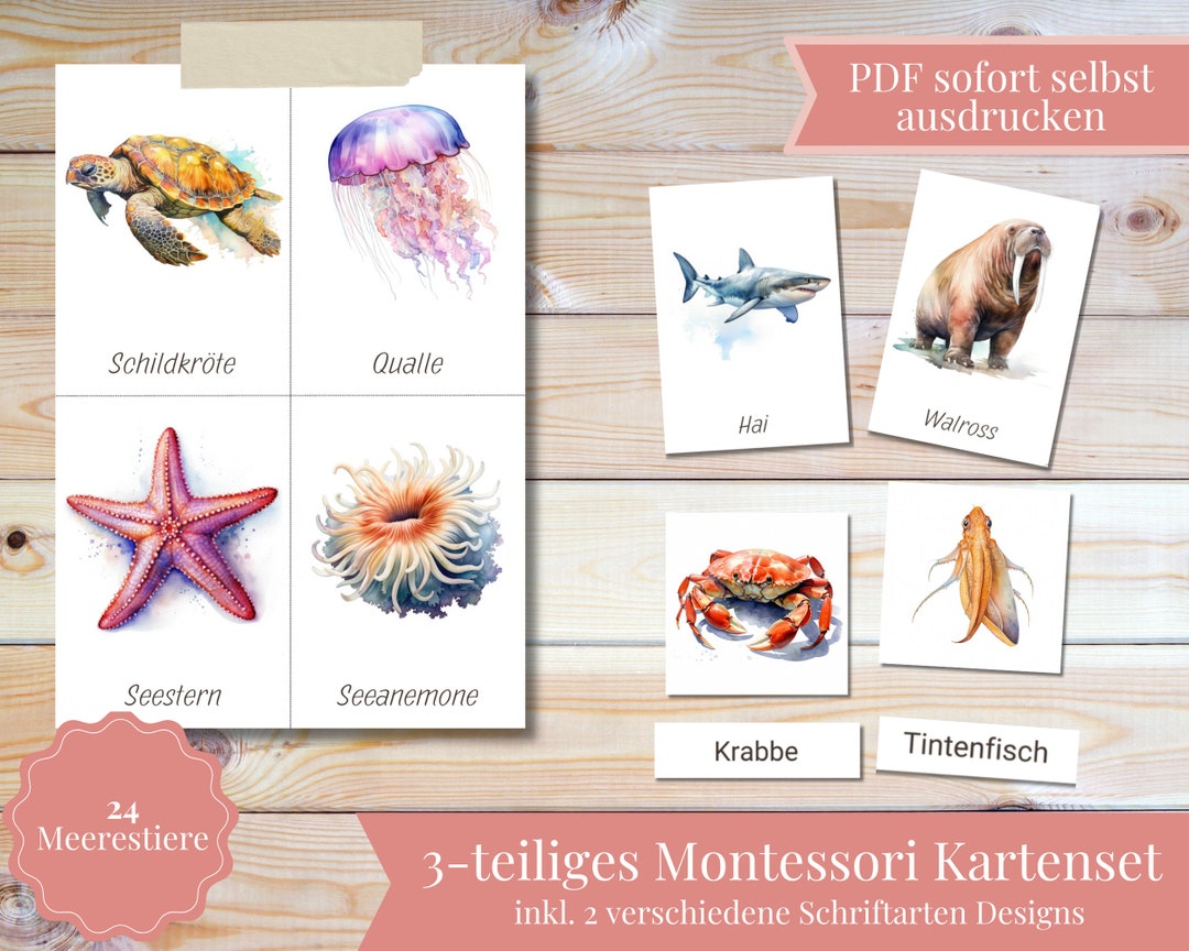 Self-printable PDF Montessori Nomenclature Cards for Children Sea ...
