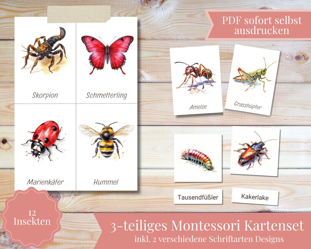 Self-printable Montessori Nomenclature Cards: 12 Insects for Children ...