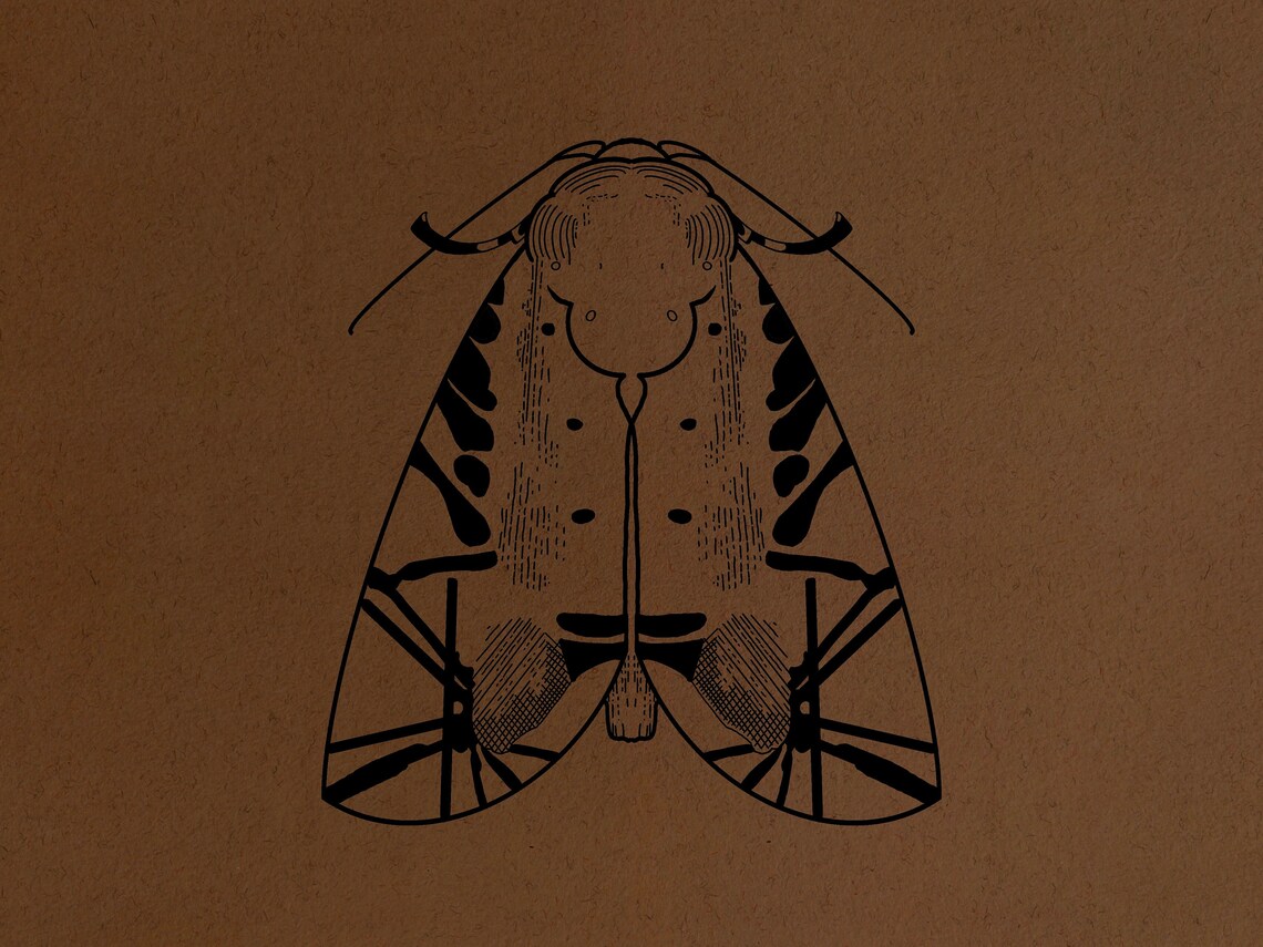 Picasso Moth Tattoo Token - Etsy