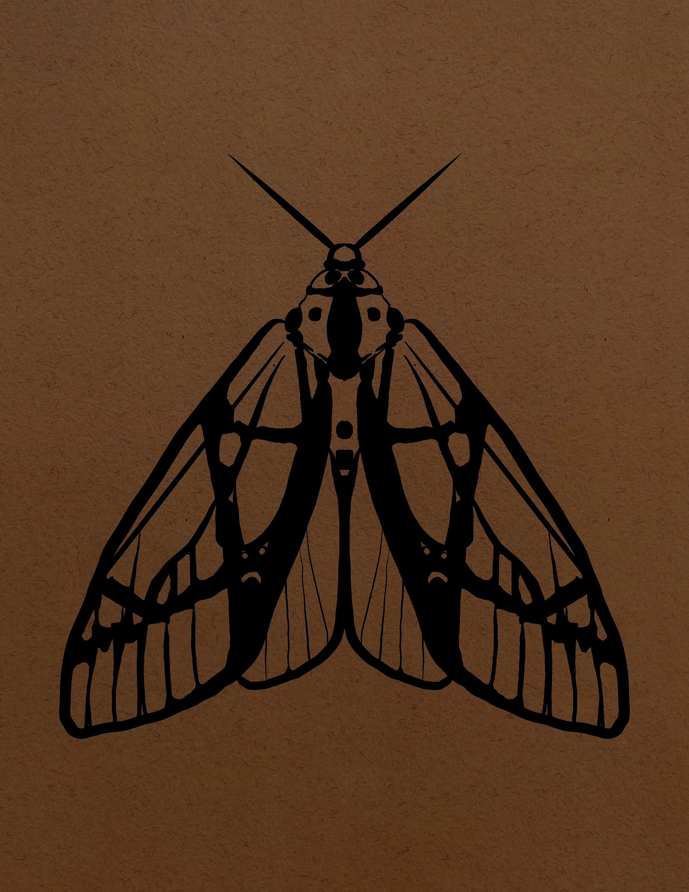 Moth Tattoo Token - Etsy