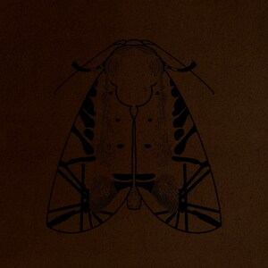 Picasso Moth Tattoo Token - Etsy