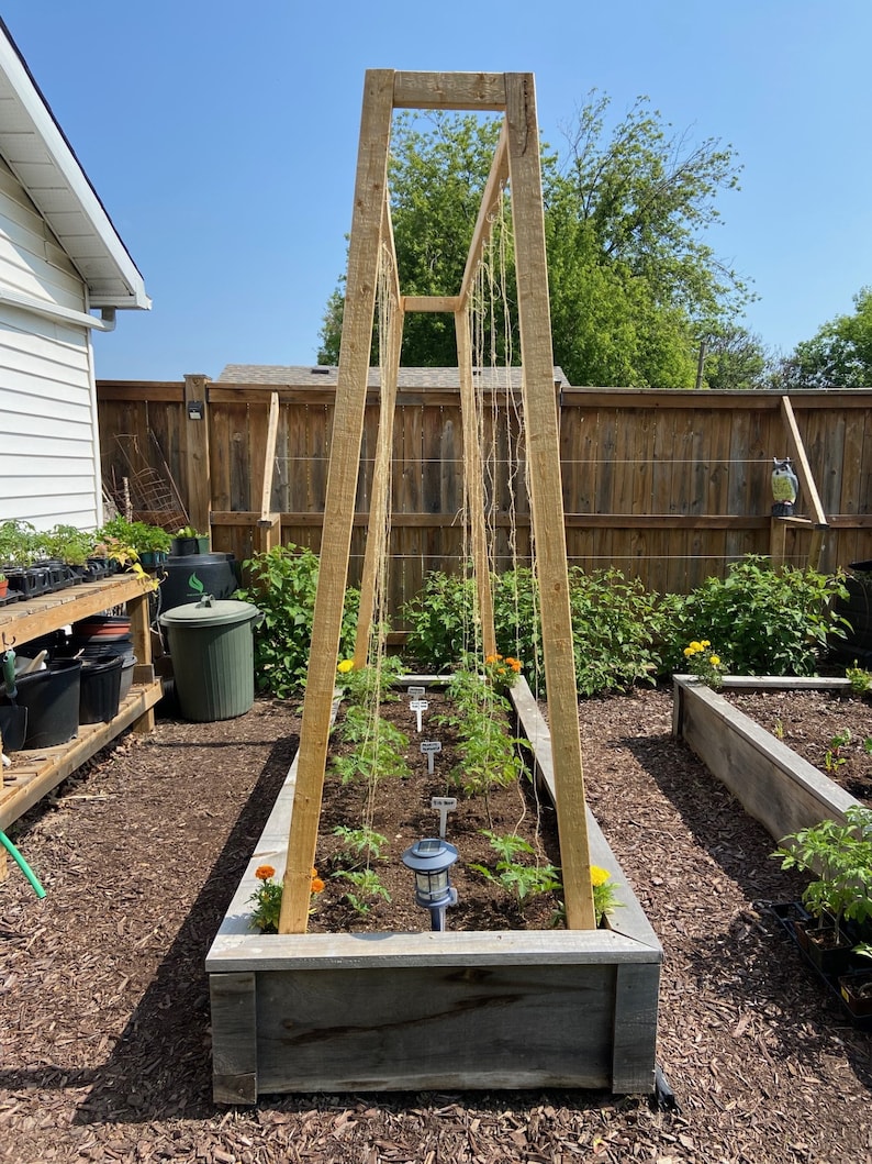 Tomato Trellis DIY Tomato Trellis System Instant Download Imperial ...