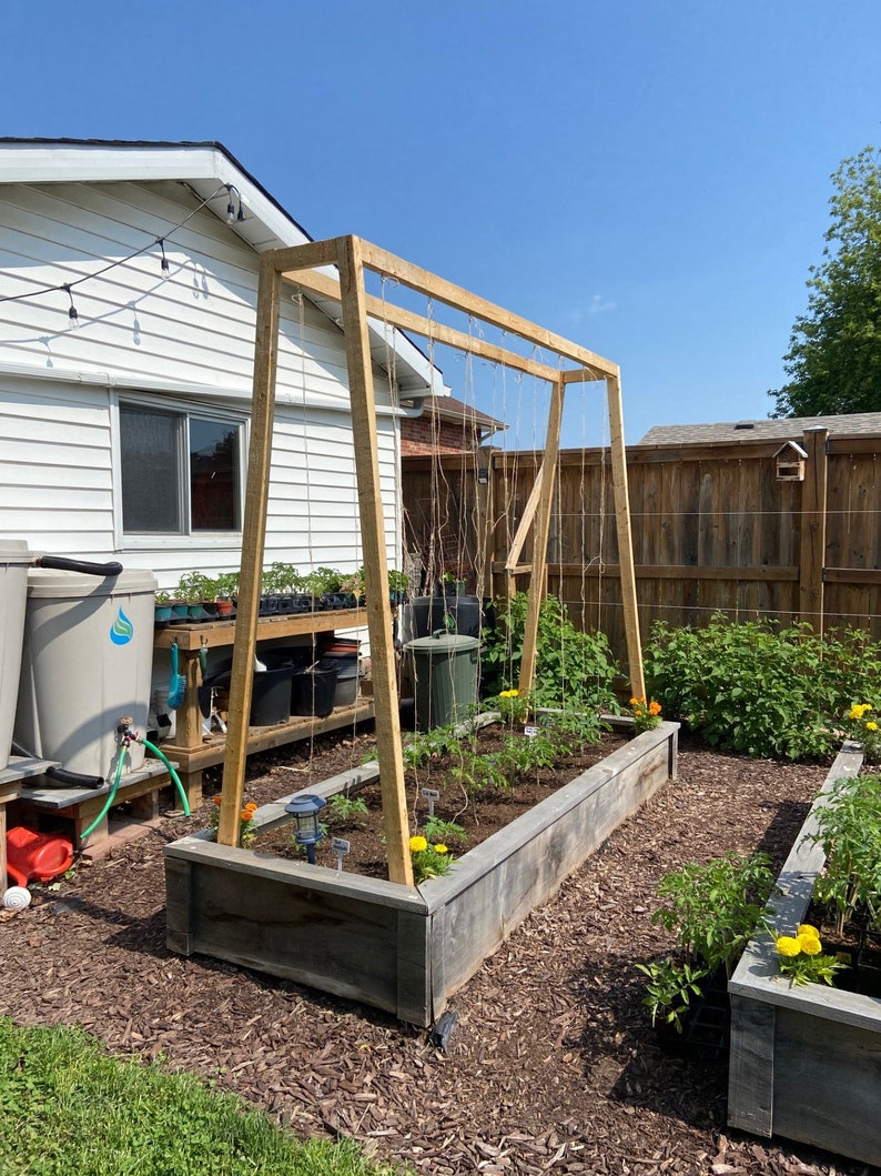Tomato Trellis DIY Tomato Trellis System Instant Download - Etsy Tomato Trellis DIY Tomato Trellis System Instant Download - Etsy
