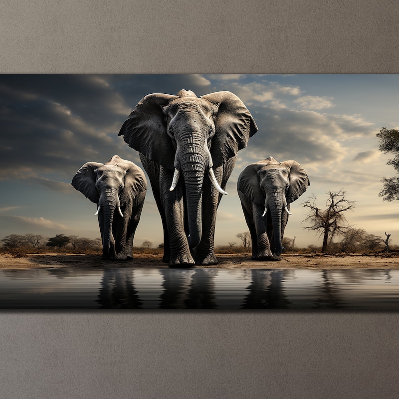 Elephant Poster - Etsy