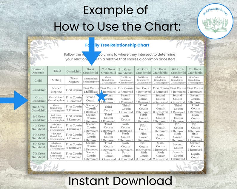 Family Tree Relationship Chart | Genealogy Common Ancestor Template ...