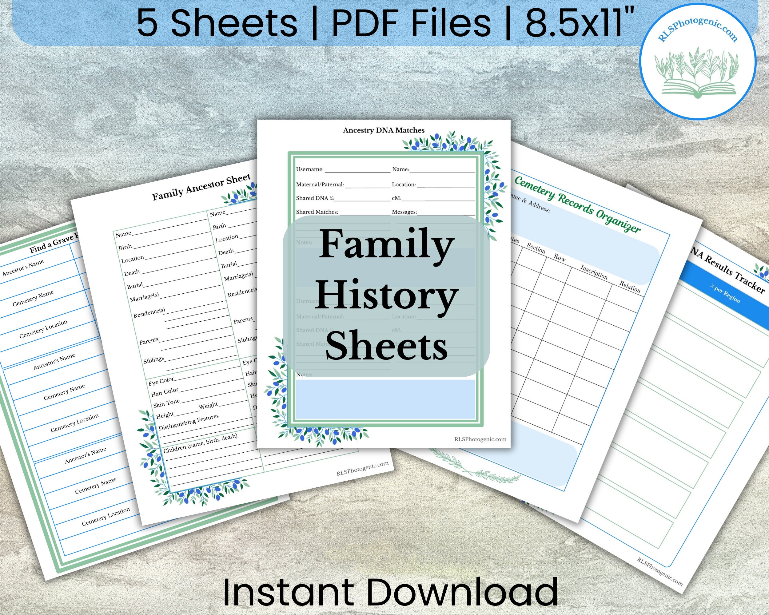 Family History Printable Sheets | Family Tree Ancestry Forms ...