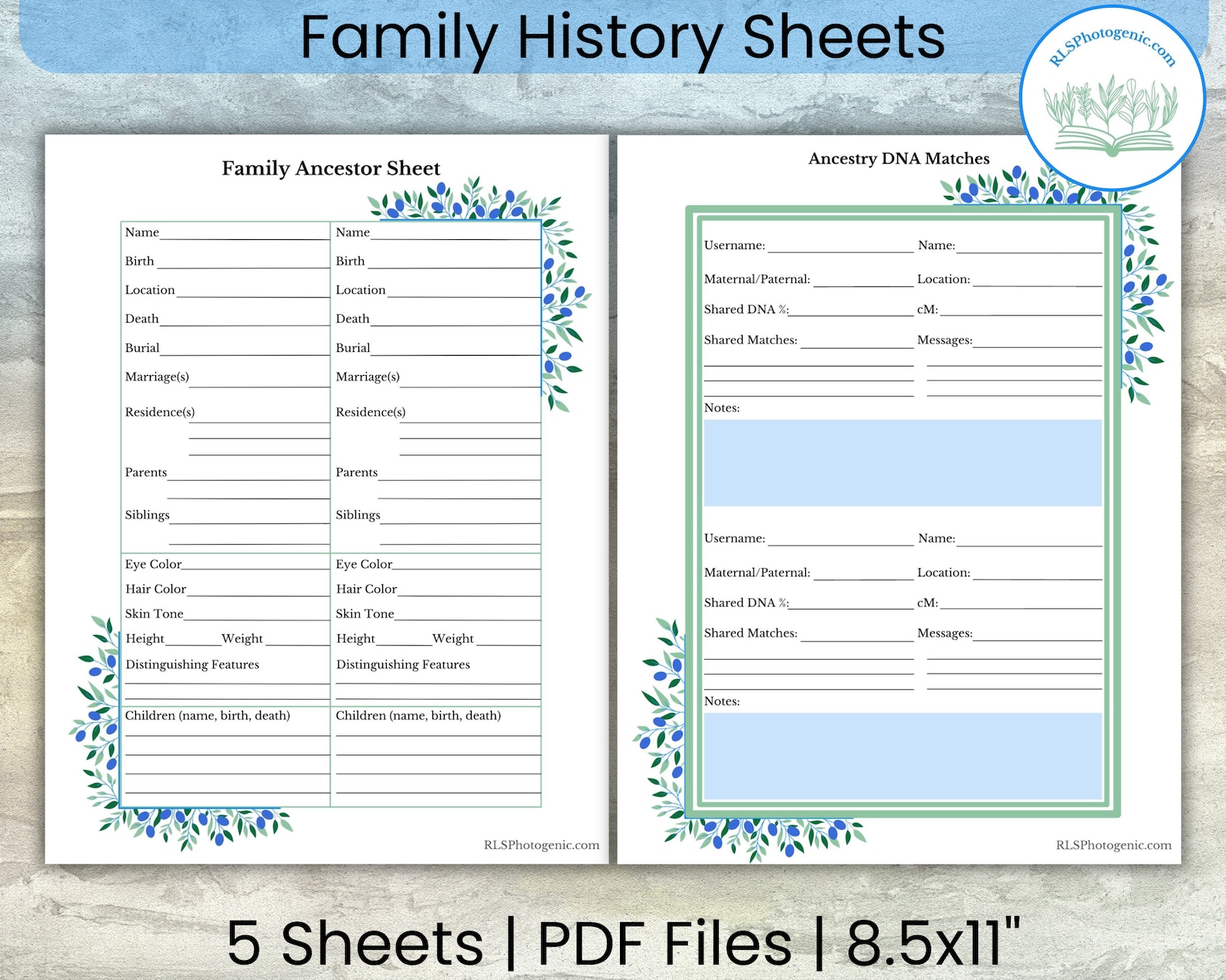 Family History Printable Sheets | Family Tree Ancestry Forms ...
