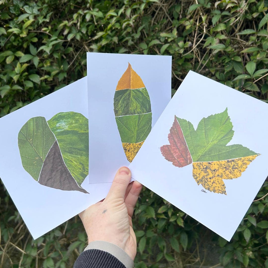Leaf Collage Art Print, Autumn Fall Nature Plant Lovers Gift Ideas - Etsy