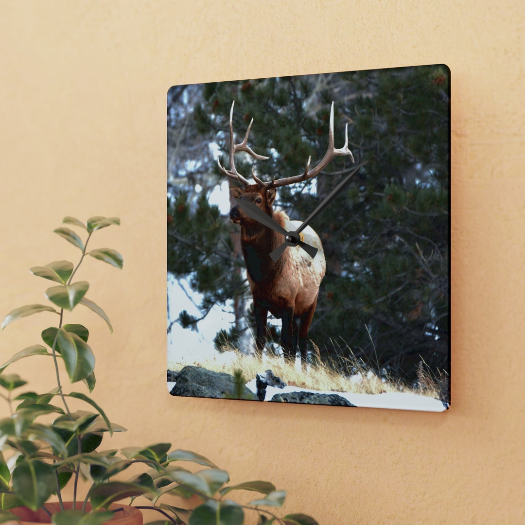 Wildlife Photography Clock, Bull Elk Clock, Estes Park Clock, Elk ...