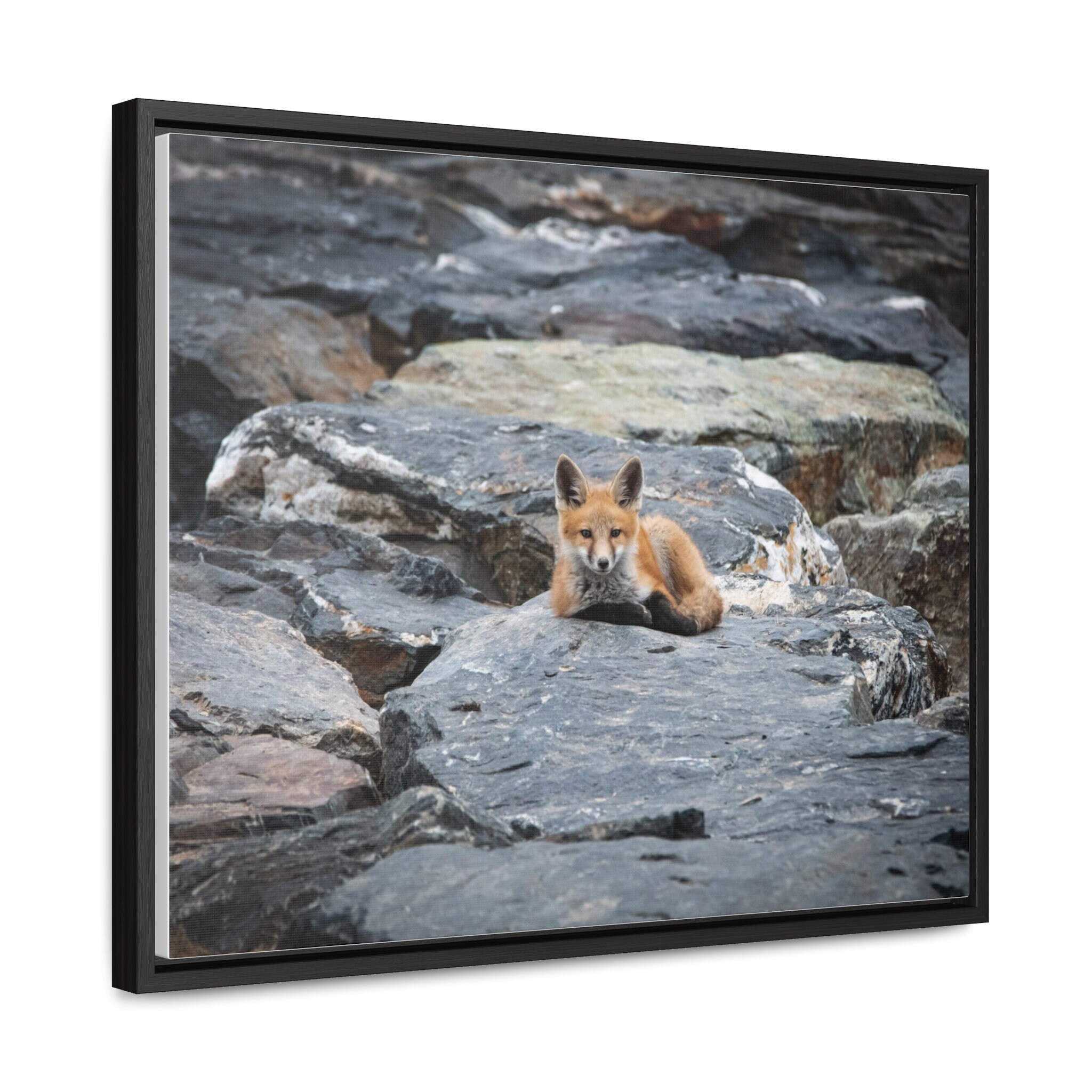 Wildlife Photography Canvas Print, Relaxing Baby Fox Kit Print, Baby ...