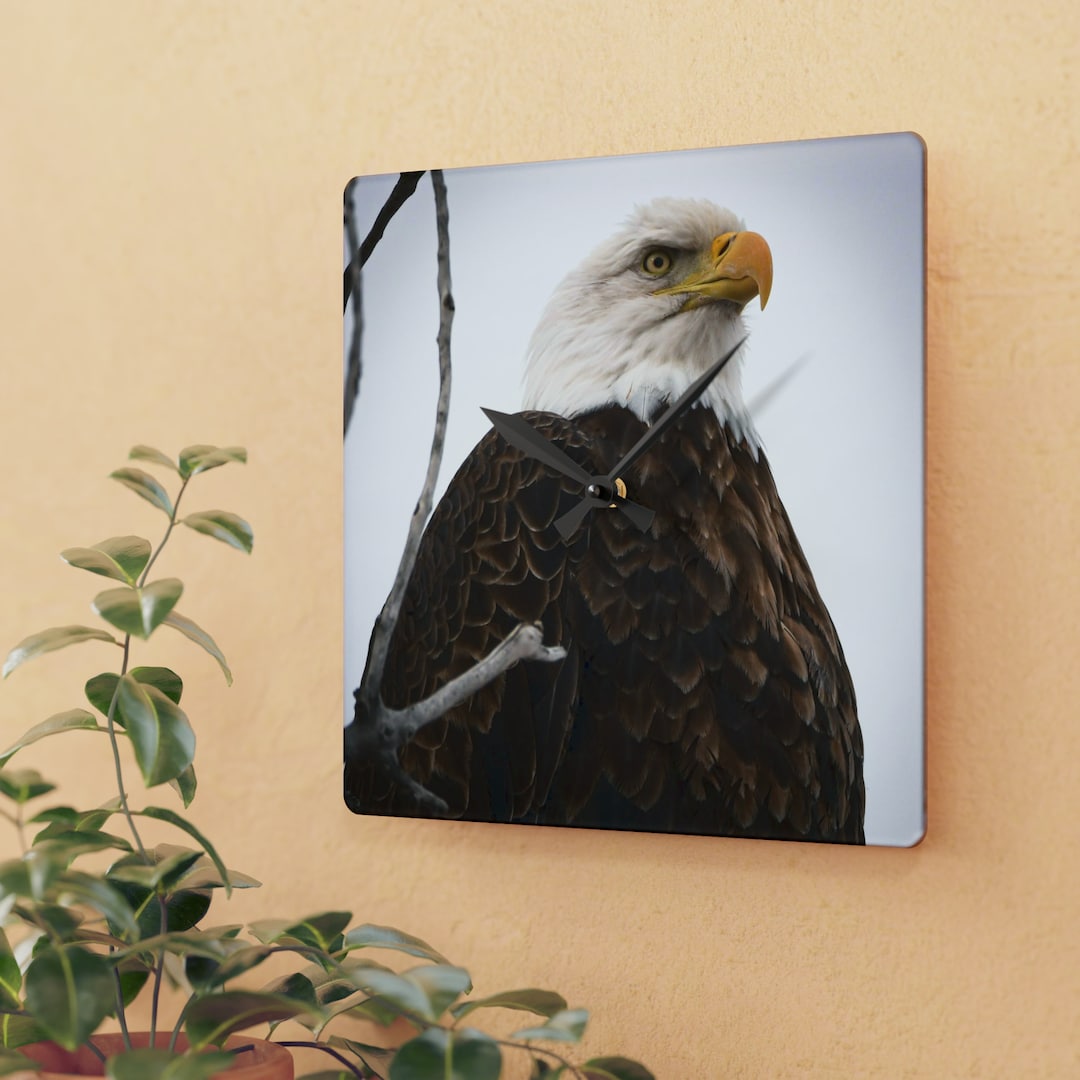 Wildlife Photography Clock, Bald Eagle Clock, Bird of Prey Clock ...