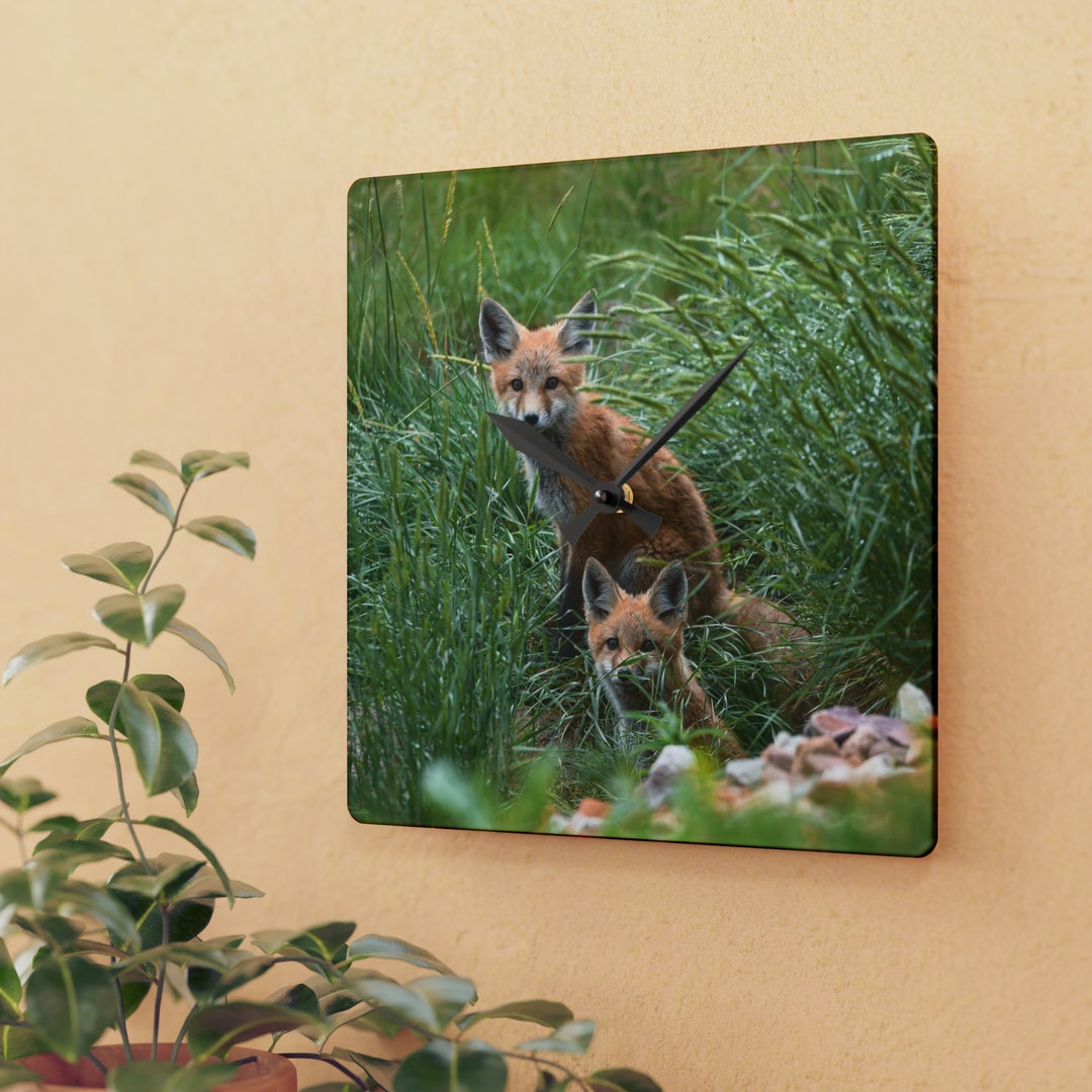 Wildlife Photography Clock, Fox Kit Clock, Fox Analog Clock, Red Fox ...