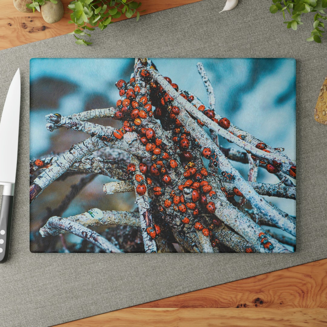 Wildlife Photography Cutting Board, Ladybug Luck Cutting Board ...