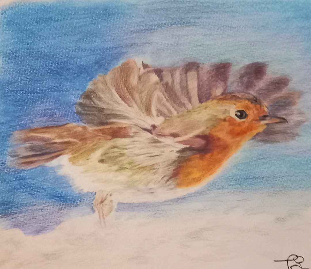 Robin in Flight - Etsy