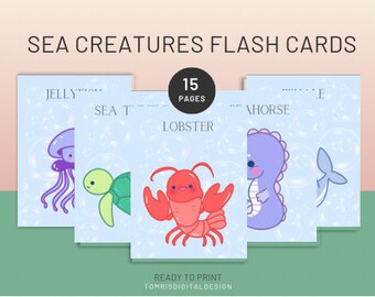 Colors Flash Cards Turtles Laminated 12 Different Colors - Etsy