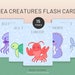15 Sea Creatures Educational Flash Cards Montessori Cards - Etsy