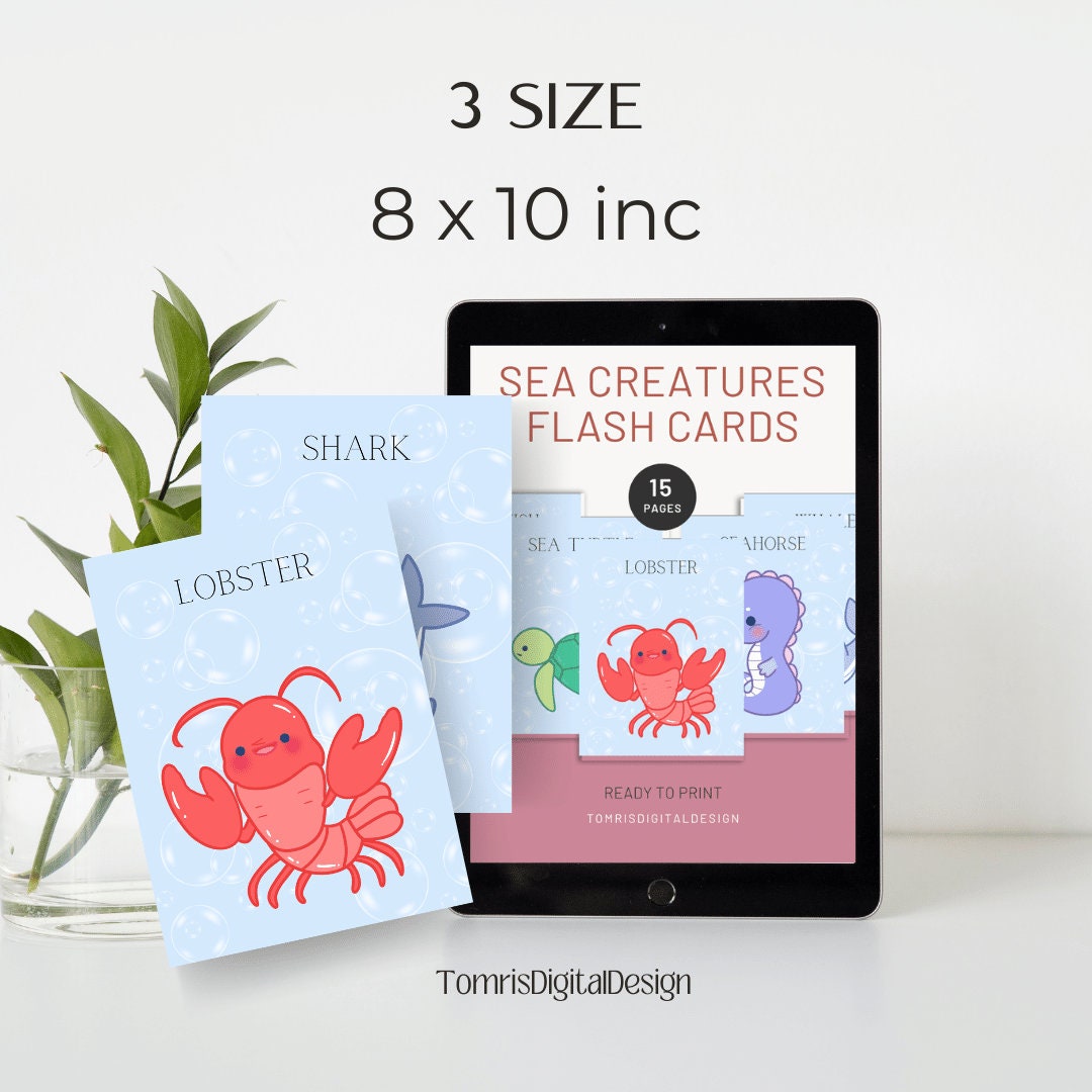 15 Sea Creatures Educational Flash Cards Montessori Cards - Etsy