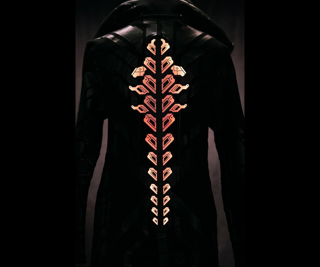 LED Cyberpunk Spine Jacket / Hooded Cloak – 200+ RGB Patterns ...