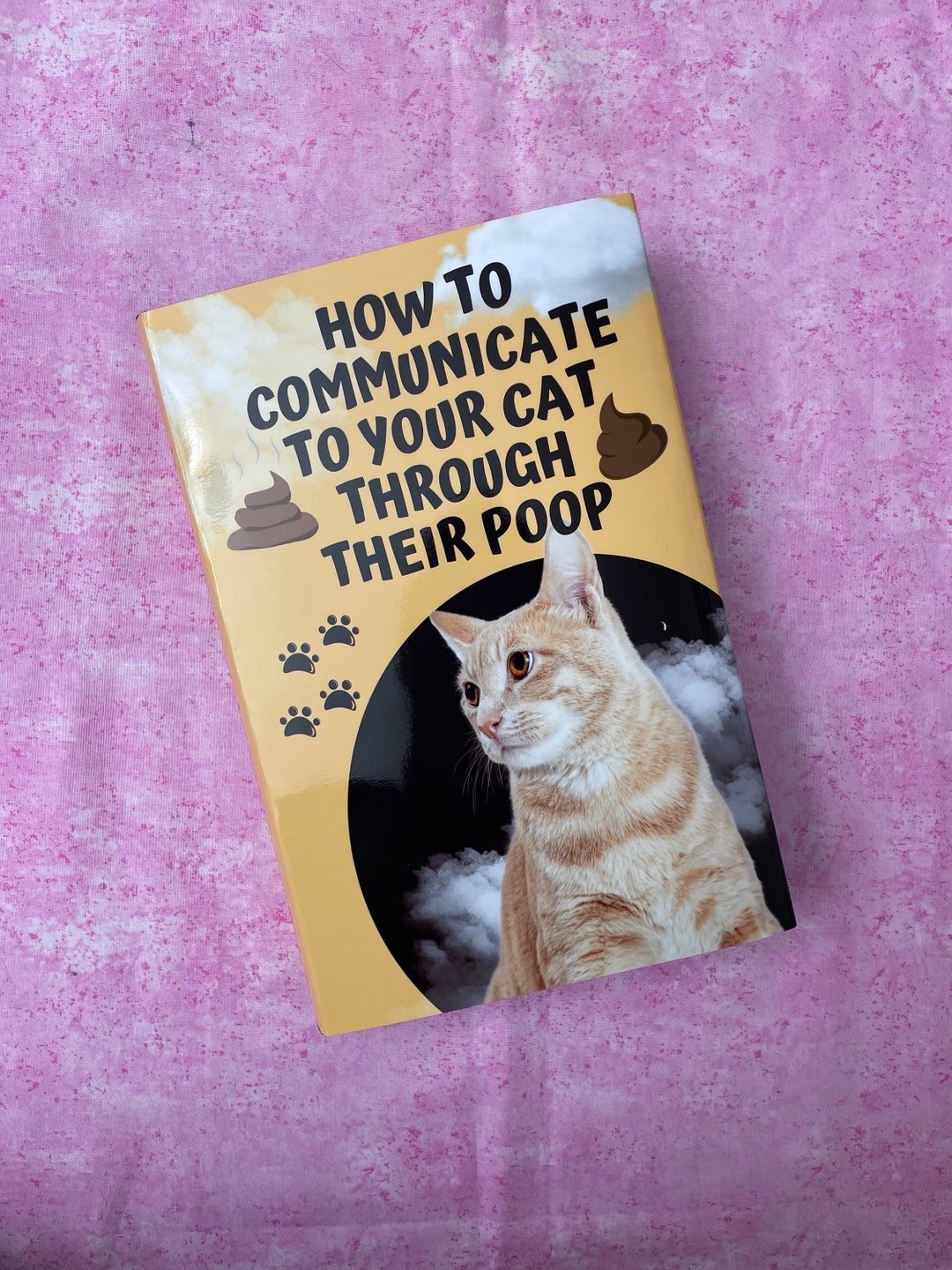Cat Lady Joke Dust Jacket Guide to Feline Chit-chat: Learn How to ...