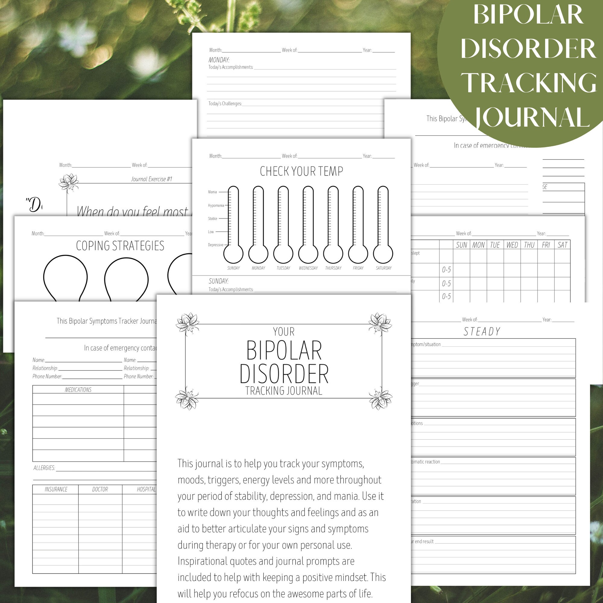 Bipolar Disorder Journal Printable Journal Bipolar Journal Journal For Bipolar Patients
