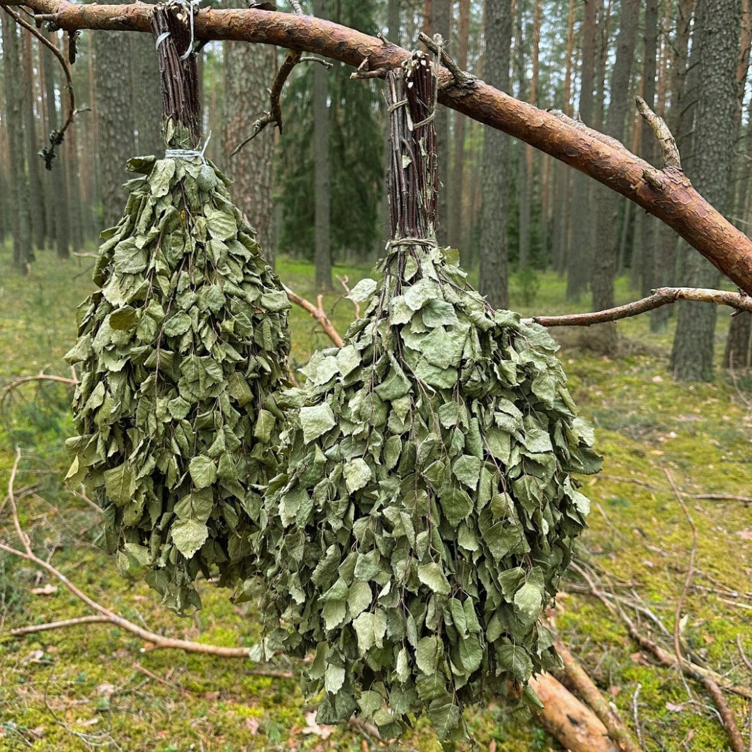 Traditional Handcrafted Sauna Birch Brooms Eco-friendly, Aromatic ...