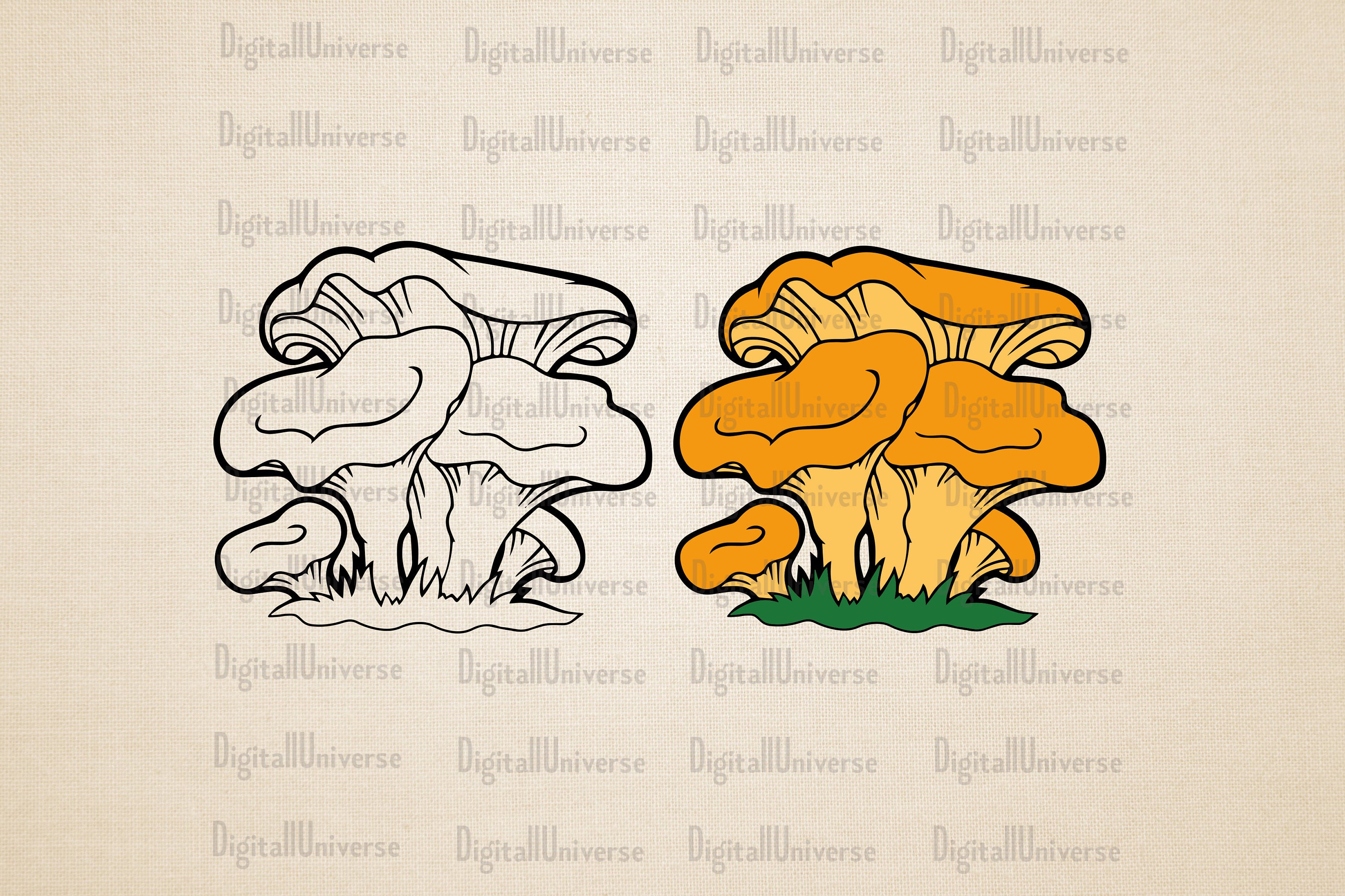 Seta SVG para cricut seta png Descarga digital Descarga - Etsy México