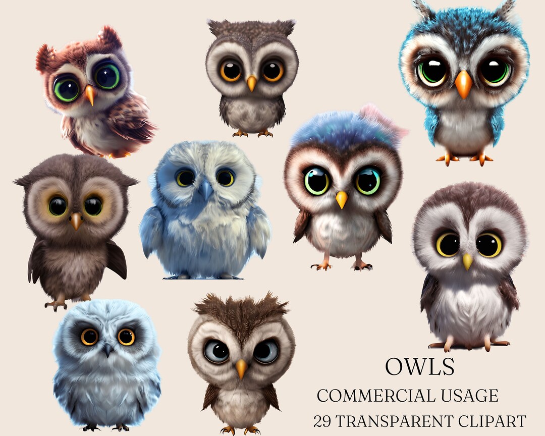 Owls Cute Baby Owl Clipart Transparent Set of 29 Owls, Instant Download ...