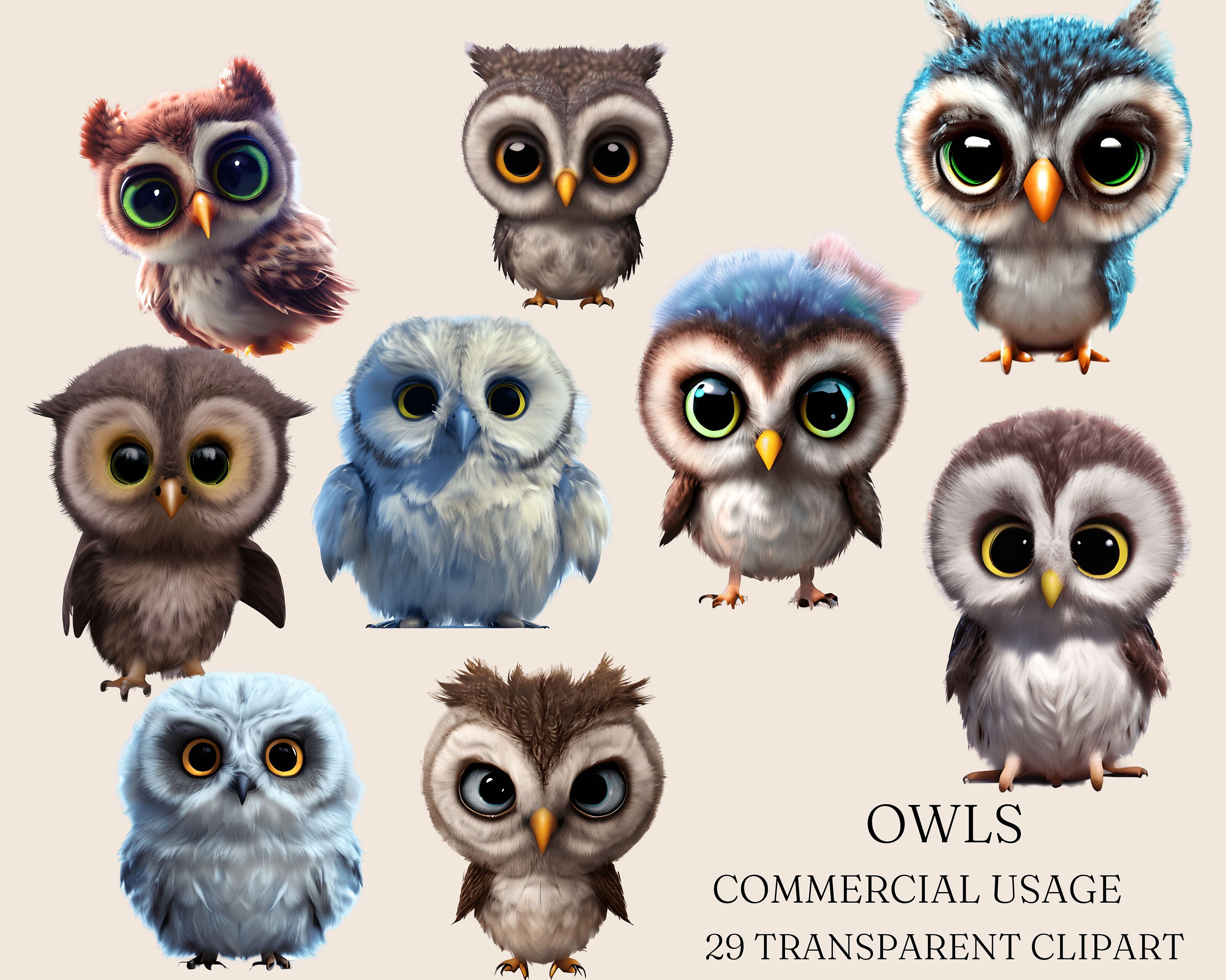 Owls Cute Baby Owl Clipart Transparent Set of 29 Owls, Instant Download ...