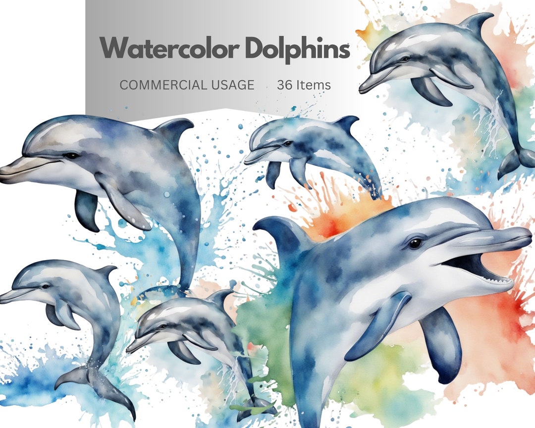 Watercolor Dolphins Clip Art Bundle Digital Download Digital - Etsy