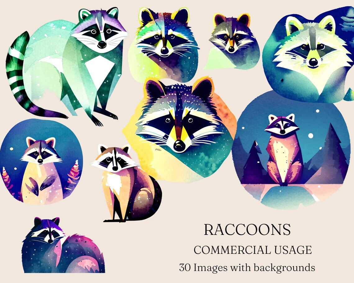 30 Watercolor Raccoon Clipart Set Transparent Commercial Use Digital ...