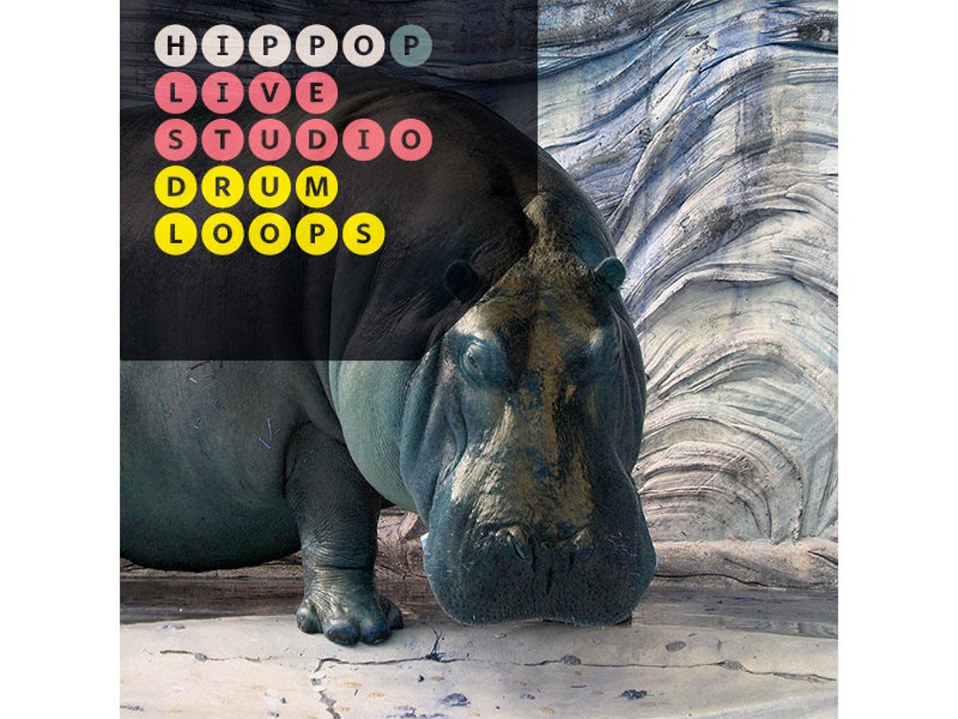 HIPPOP - Hip Hop Modern Pop Funk Live Studio Drum Loops Beats - 24-bit ...