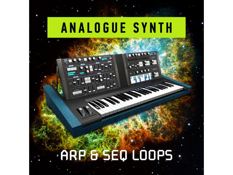Analogue Synth Arp & Sequence Loops - EDM House Techno - 24-bit WAV - Etsy