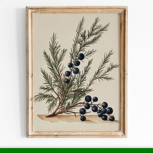 Juniper Twig Winter Wall Art, Juniper Branch Vintage Winter PRINTABLE ...
